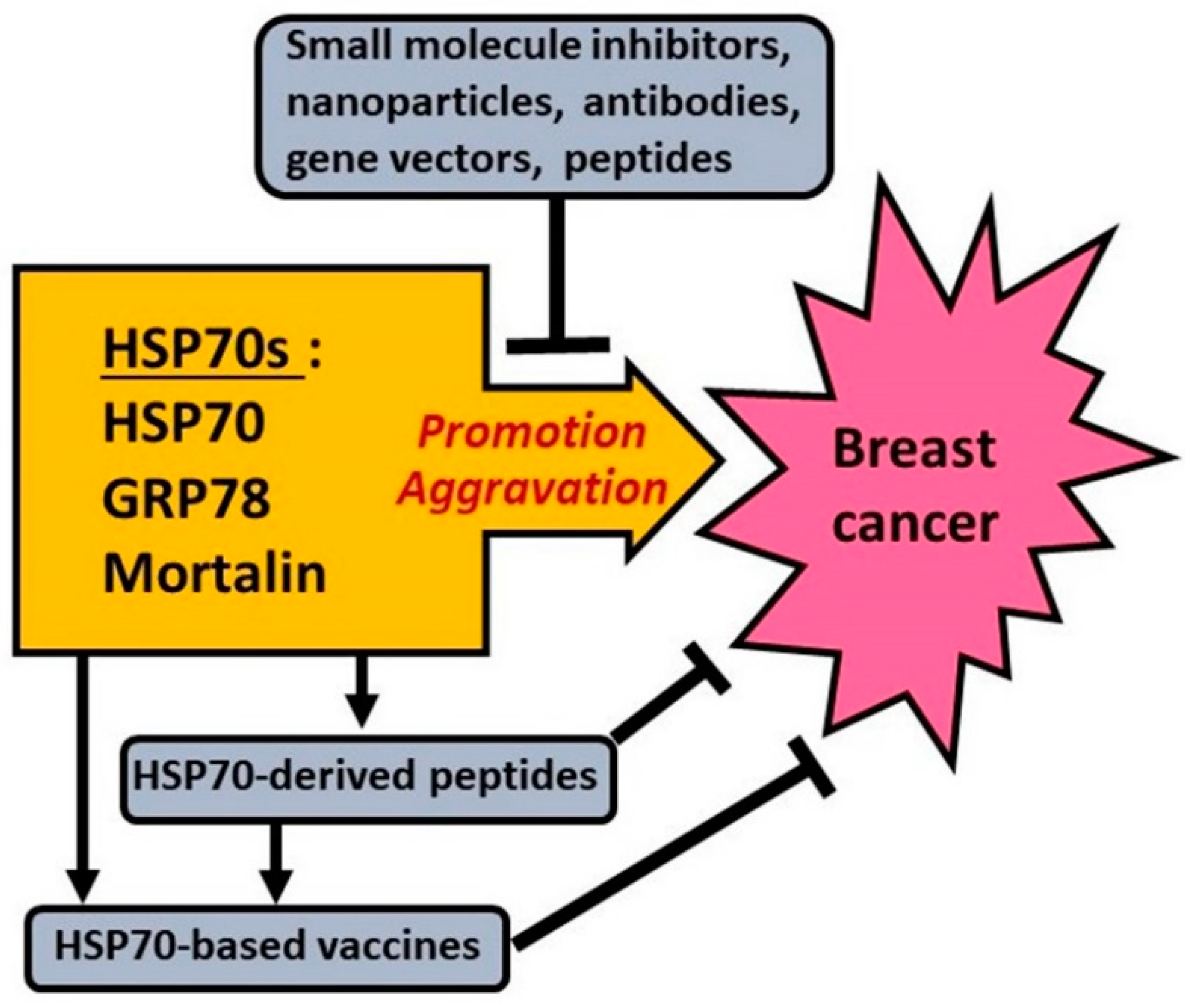 HSP70s in Breast Cancer: Promoters of Tumorigenesis and Potential ...