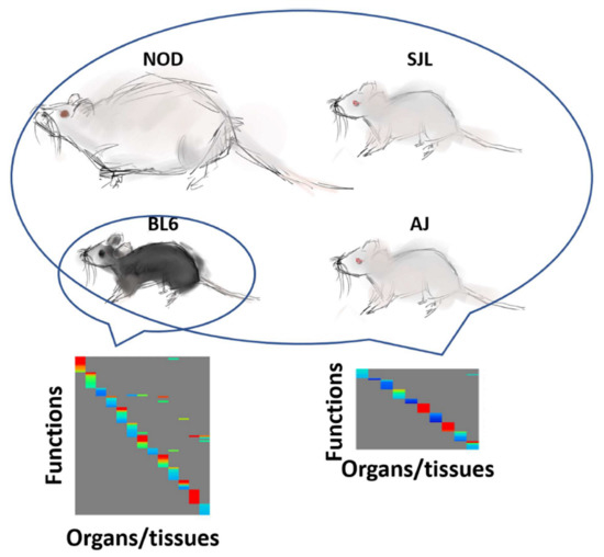 Cells | Free Full-Text | Mouse Organ-Specific Proteins and Functions