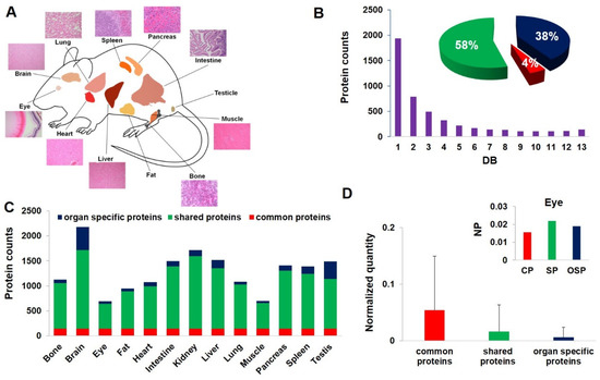 Cells | Free Full-Text | Mouse Organ-Specific Proteins and Functions
