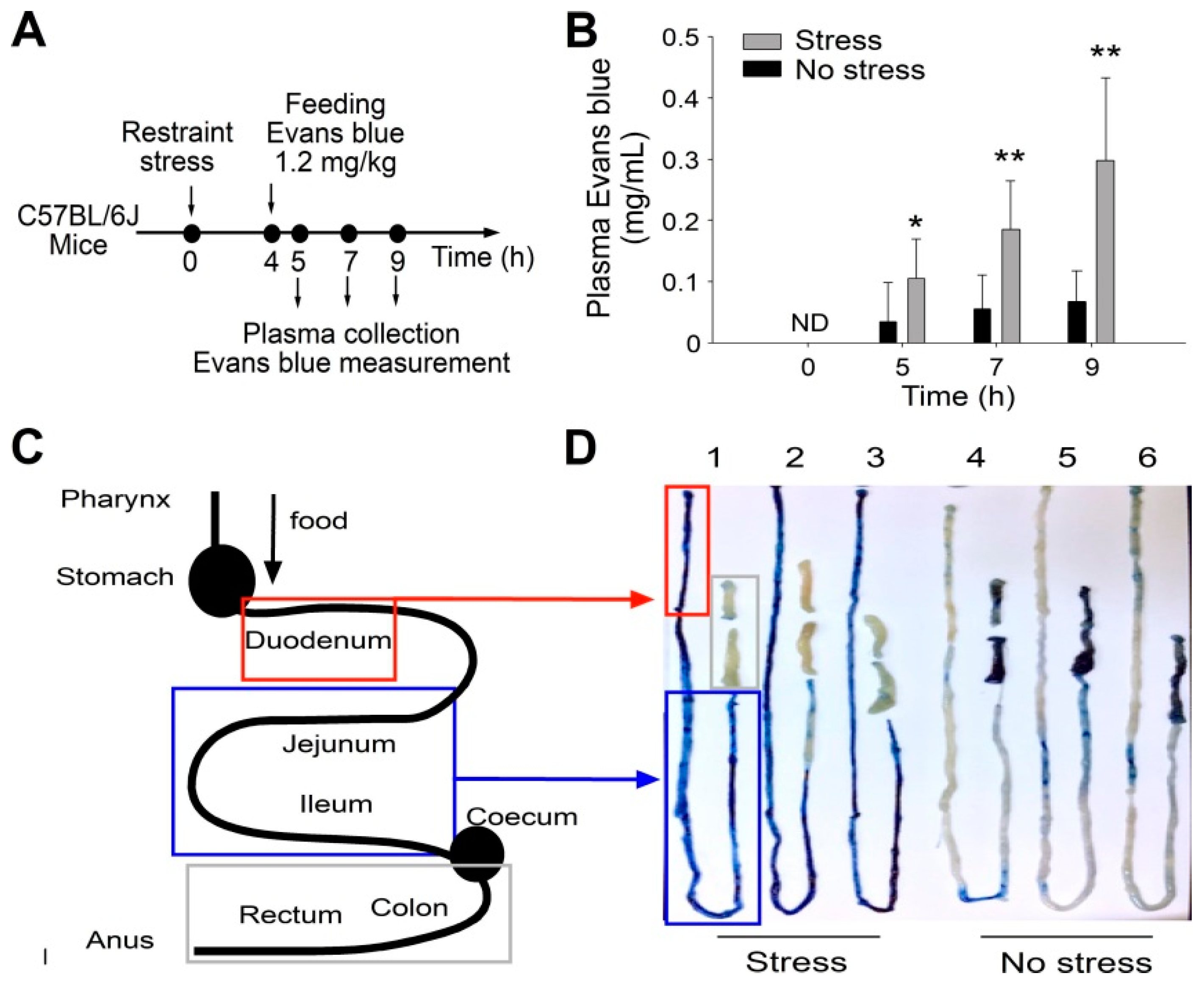 Activating Transcription Factor 3 Protects against Restraint Stress ...