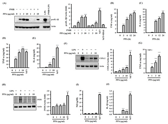 Immunomodulatory Properties of Polysaccharides from the Coral ...