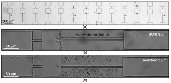 Microfluidic Characterization of Red Blood Cells Microcirculation under ...