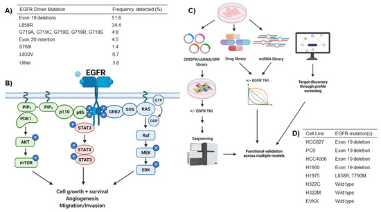 Emerging Molecular Dependencies of Mutant EGFR-Driven Non-Small Cell ...