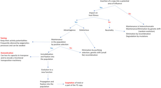 Taming, Domestication and Exaptation: Trajectories of Transposable ...