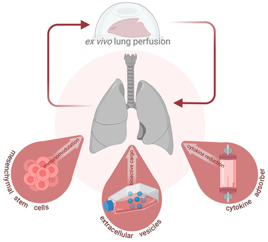 Cells | Free Full-Text | Current Status and Future Perspectives on ...