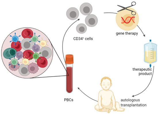 Stem Cell-Based Disease Models for Inborn Errors of Immunity