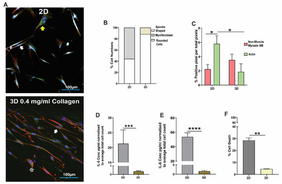 The Role of the Dynamic Lung Extracellular Matrix Environment on ...