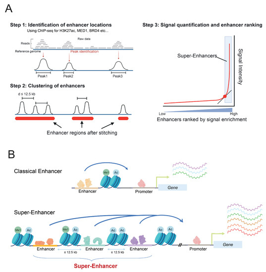 Super-Enhancers Dysregulations in Hematological Malignancies
