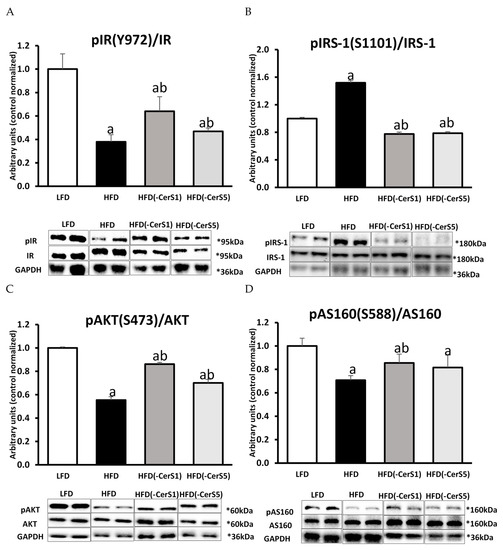 CerS1 but Not CerS5 Gene Silencing, Improves Insulin Sensitivity and ...