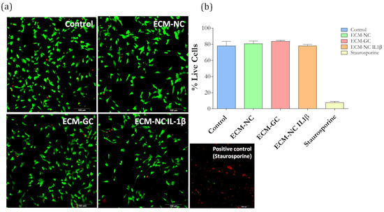Human Sensory Neuron-like Cells and Glycated Collagen Matrix as a Model ...