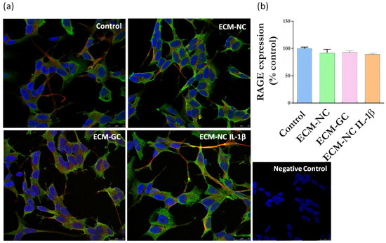 Human Sensory Neuron-like Cells and Glycated Collagen Matrix as a Model ...