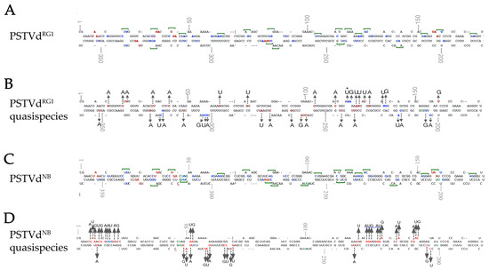 Revisiting the Non-Coding Nature of Pospiviroids