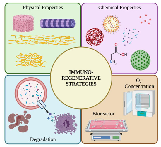 Scaffold-Mediated Immunoengineering as Innovative Strategy for Tendon ...