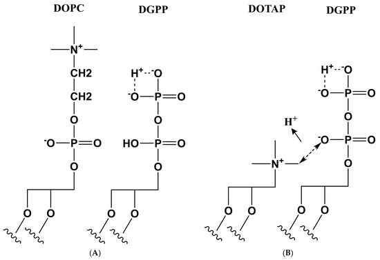 Cells | Free Full-Text | The Electrostatic Basis of Diacylglycerol ...