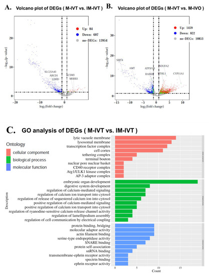 Changes in the Mitochondria-Related Nuclear Gene Expression Profile ...