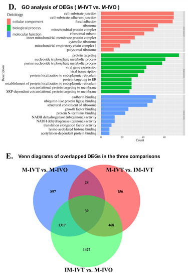Changes in the Mitochondria-Related Nuclear Gene Expression Profile ...
