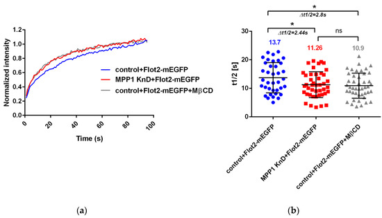 MPP1 Determines the Mobility of Flotillins and Controls the Confinement ...