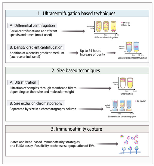 Exosome as a Delivery Vehicle for Cancer Therapy