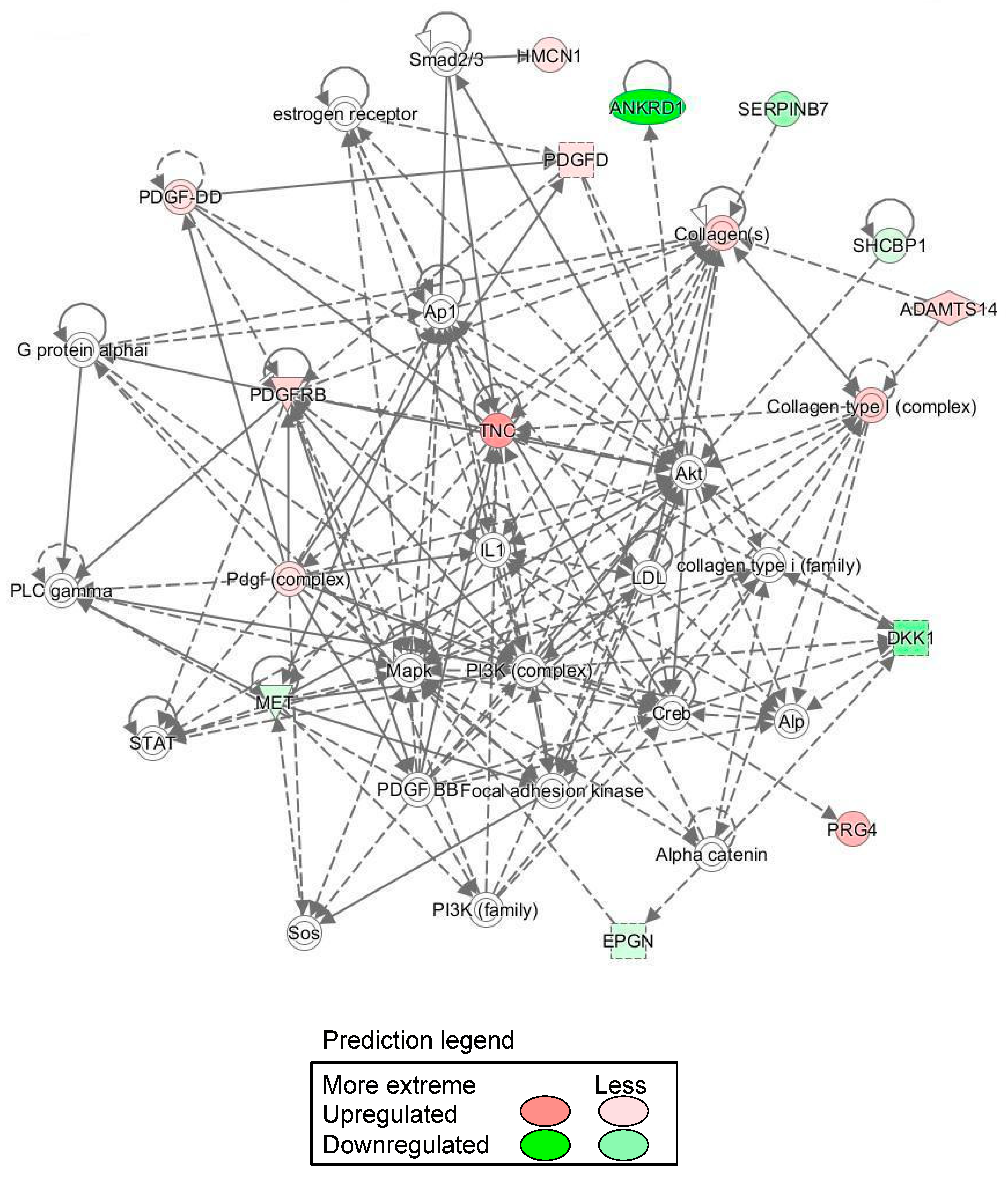 Evaluation of the Usefulness of Human Adipose-Derived Stem Cell ...