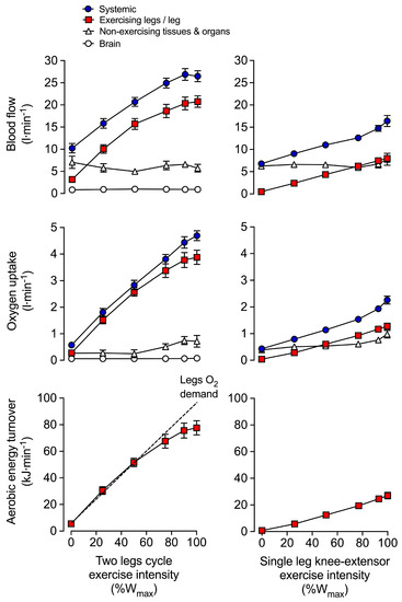 Cells | Free Full-Text | Physiological Function during Exercise and ...