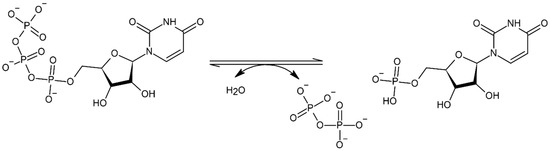 Inosine Triphosphate Pyrophosphatase (ITPase): Functions, Mutations ...