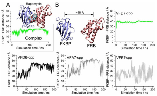 Cells | Free Full-Text | Effect of FKBP12-Derived Intracellular ...