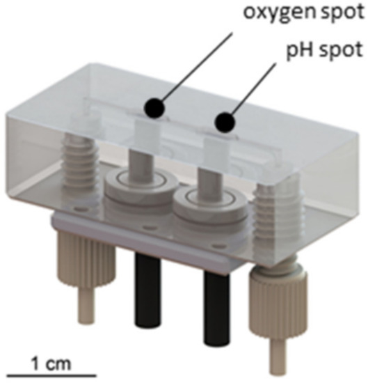 Cells | Free Full-Text | Innovative Platform for the Advanced Online ...