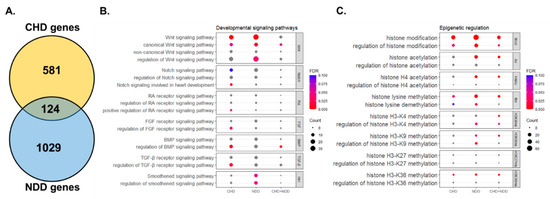 Cells | Free Full-Text | Harnessing the Power of Stem Cell Models to ...