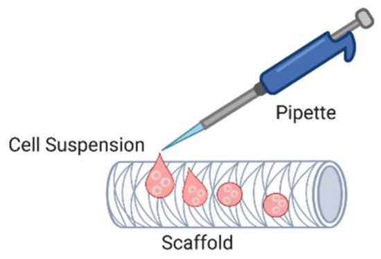 Current Progress in Vascular Engineering and Its Clinical Applications