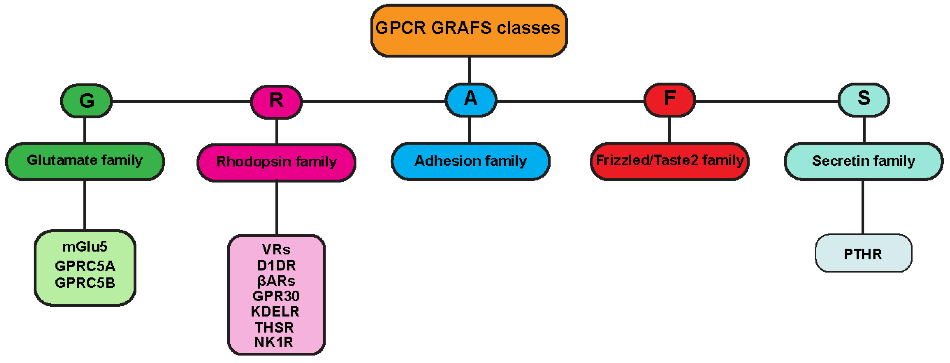 Endomembrane-Based Signaling by GPCRs and G-Proteins