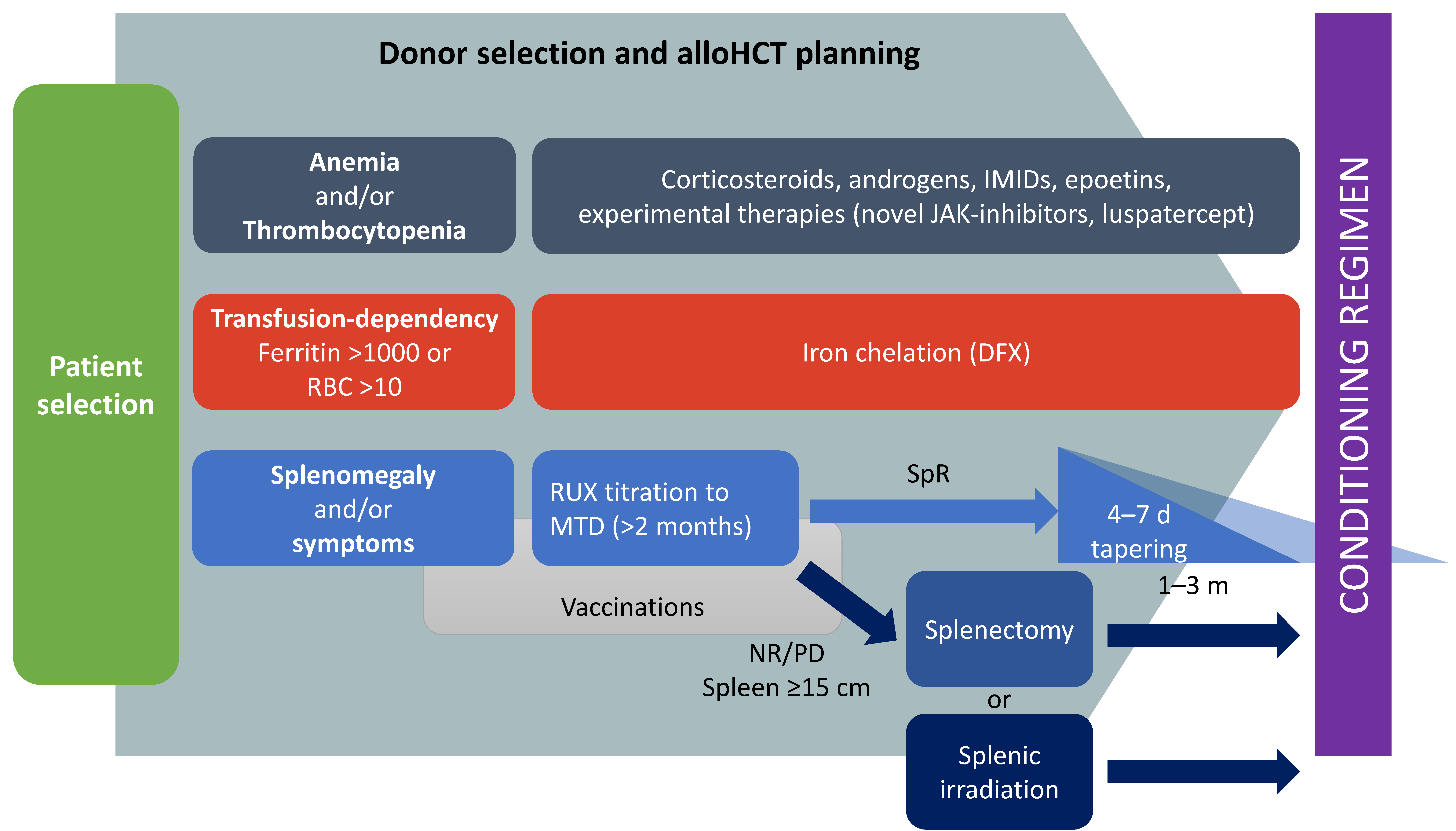How We Manage Myelofibrosis Candidates for Allogeneic Stem Cell ...