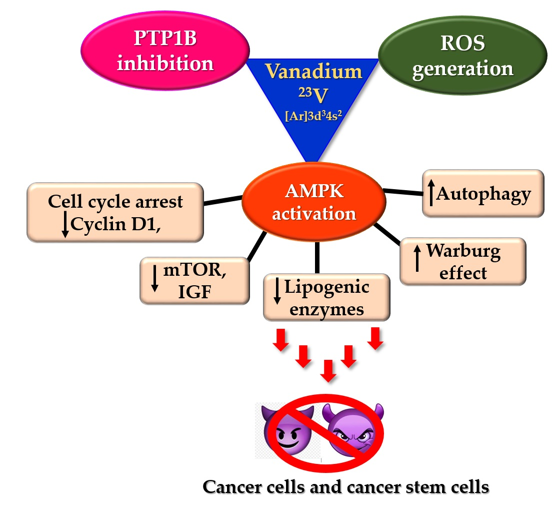 Cells | Free Full-Text | Targeting Breast Cancer and Their Stem Cell ...