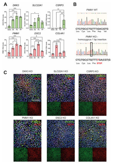 Functional Genomic Screening in Human Pluripotent Stem Cells Reveals ...