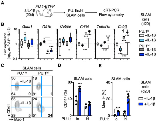 PU.1 Expression Defines Distinct Functional Activities in the ...