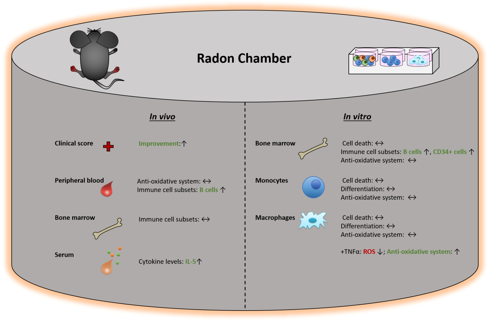 Cells | Free Full-Text | Radon Improves Clinical Response in an Animal ...