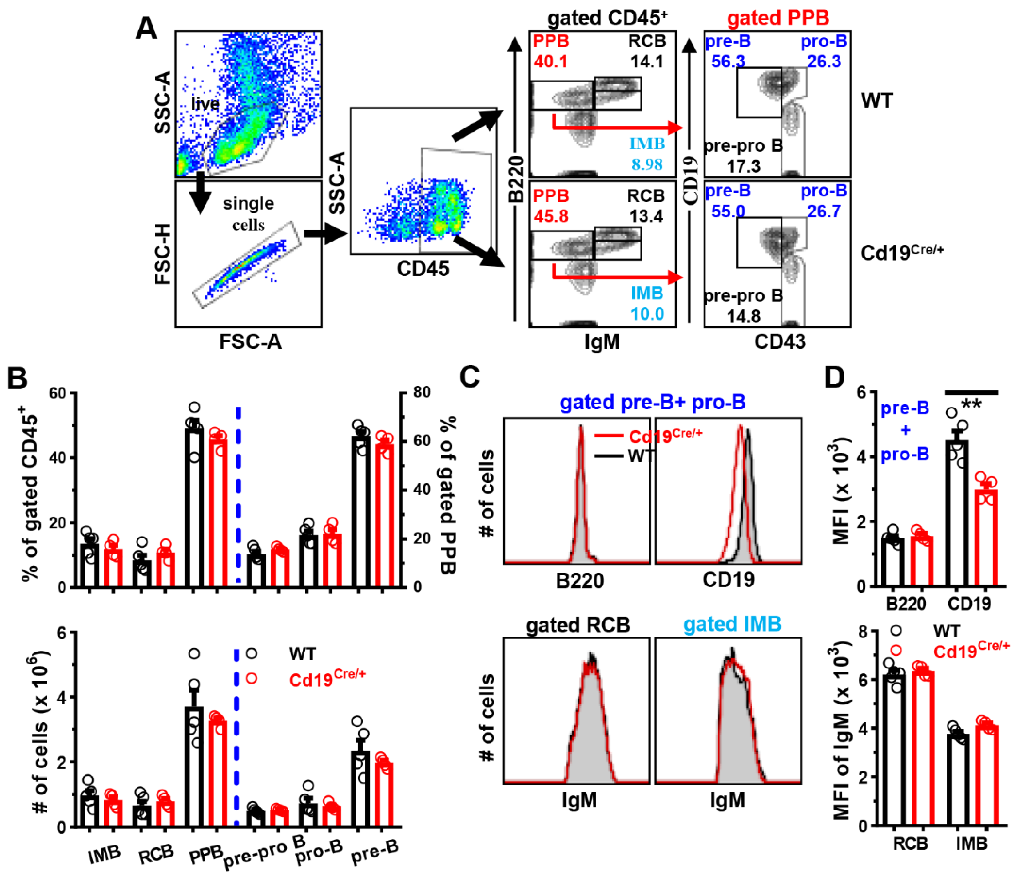 Altered Phenotype and Enhanced Antibody-Producing Ability of Peripheral ...