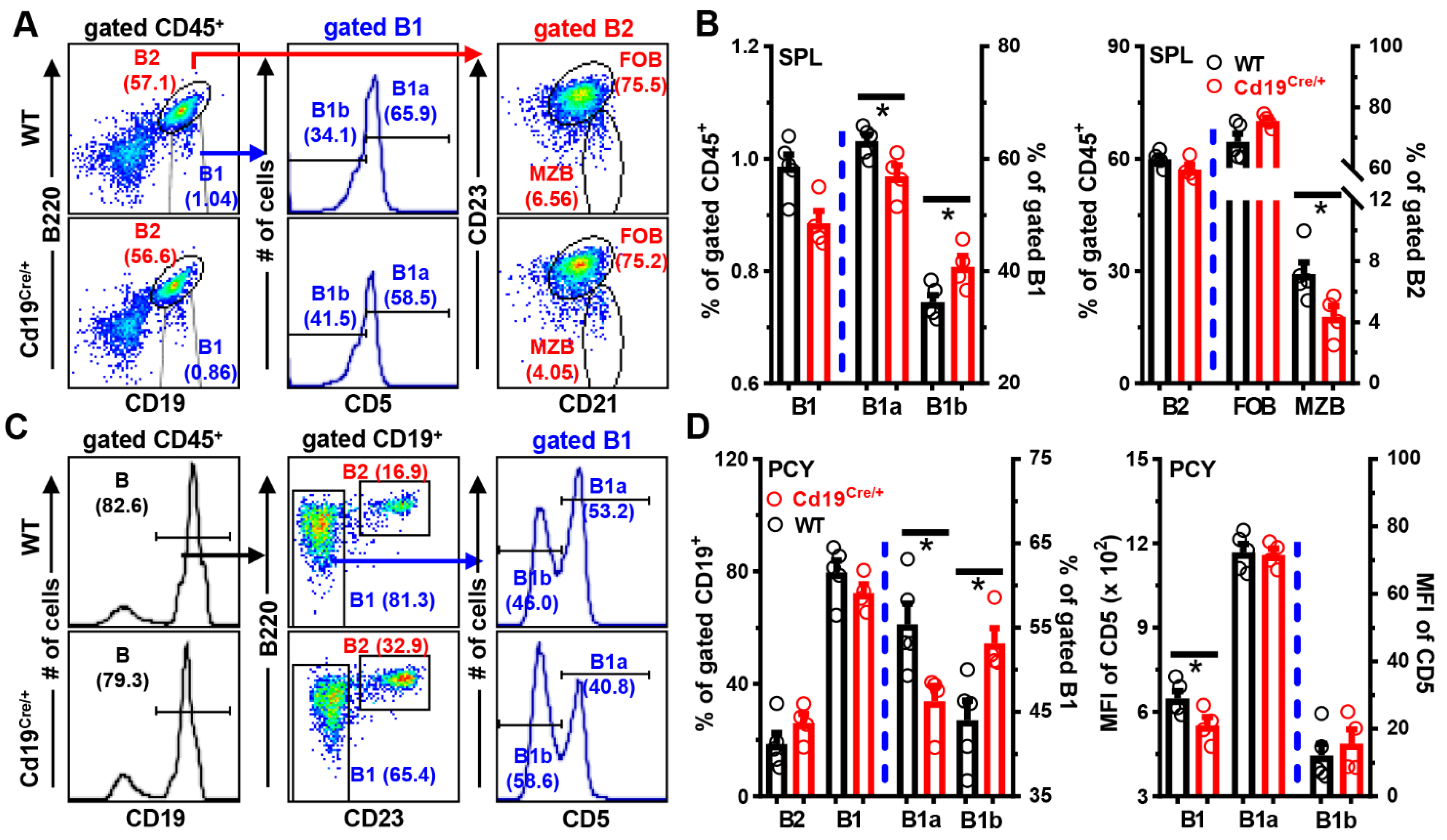 Altered Phenotype and Enhanced Antibody-Producing Ability of Peripheral ...
