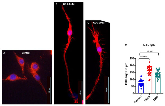 The Effect of Magnetic Field Gradient and Gadolinium-Based MRI Contrast ...
