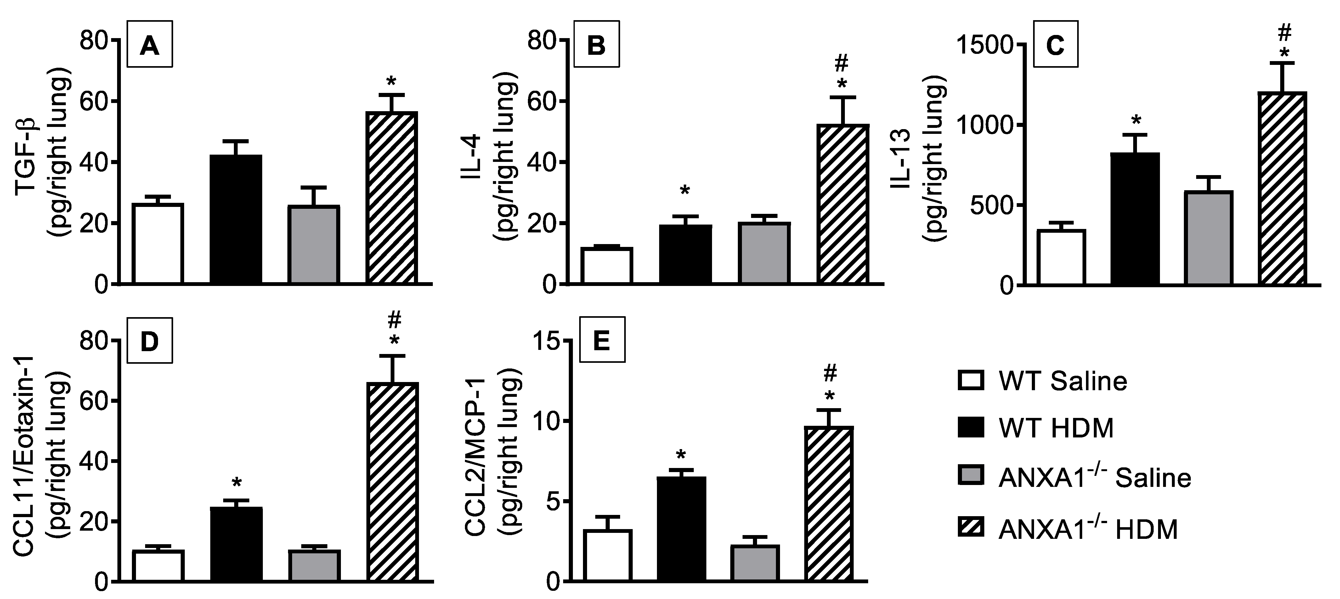 Annexin-A1-Derived Peptide Ac2-26 Suppresses Allergic Airway ...