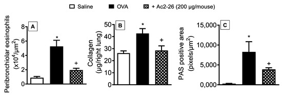 Annexin-A1-Derived Peptide Ac2-26 Suppresses Allergic Airway ...