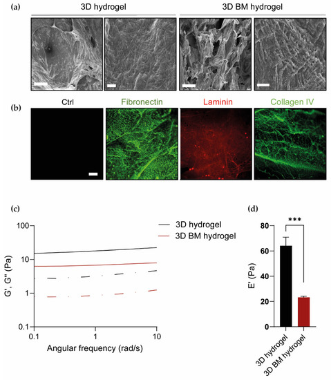 Cells | Free Full-Text | Cardiac Tissue-like 3D Microenvironment ...