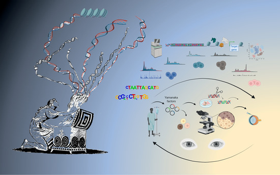 Cells | Free Full-Text | Deciphering the Retinal Epigenome during ...