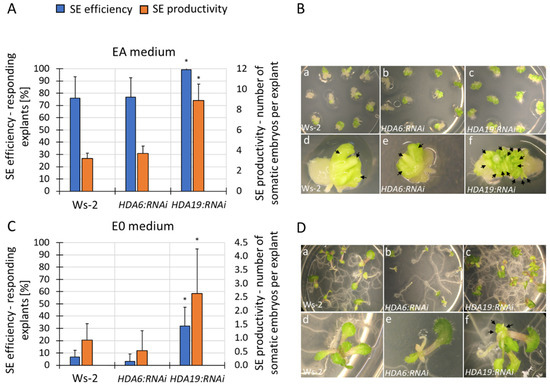 Insights into the Histone Acetylation-Mediated Regulation of the ...