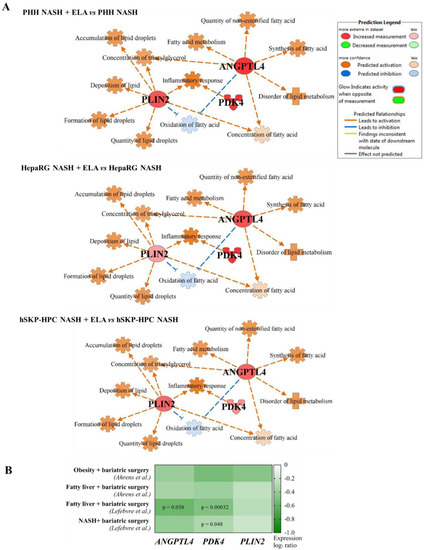 Cells | Free Full-Text | Transcriptomics Reveals Discordant Lipid ...