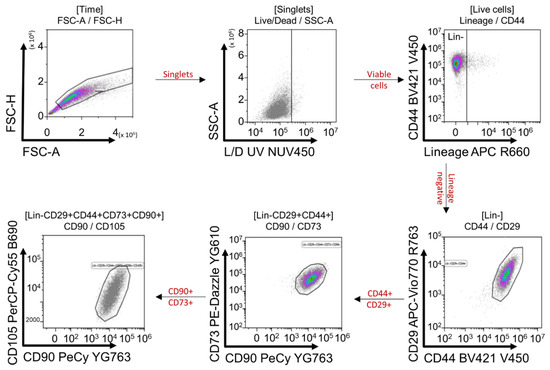 Batch Effects during Human Bone Marrow Stromal Cell Propagation Prevail ...