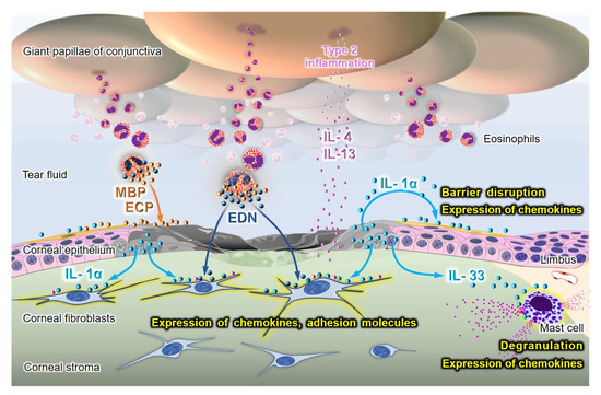Role of Damage-Associated Molecular Patterns (DAMPs/Alarmins) in Severe ...