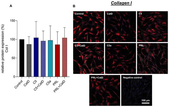Complement Proteins C5/C5a, Cathepsin D and Prolactin in Chondrocytes ...