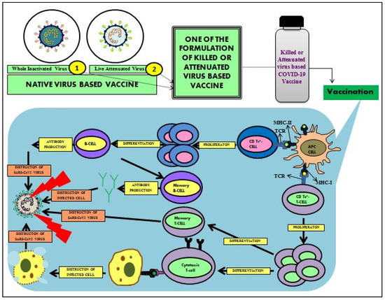 Cells | Free Full-Text | Biotechnological Perspectives to Combat the ...