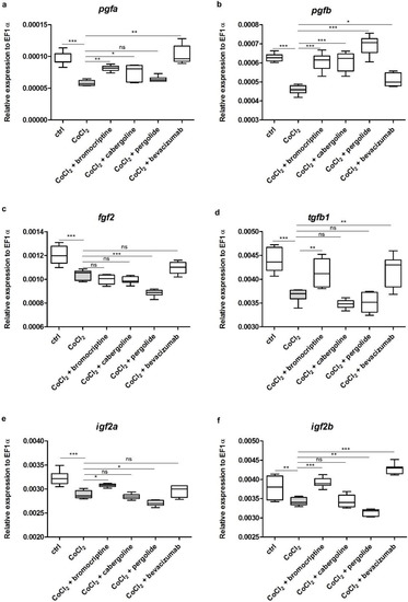Cells | An Open Access Journal from MDPI