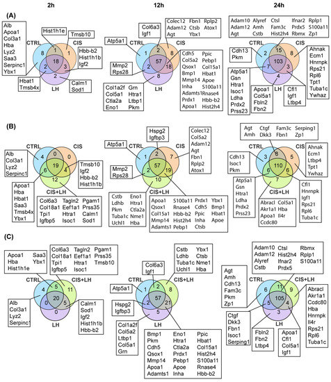 Cells | An Open Access Journal from MDPI